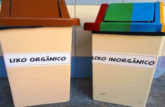 Lixo orgânico e inorgânico: O que são e quais suas diferenças